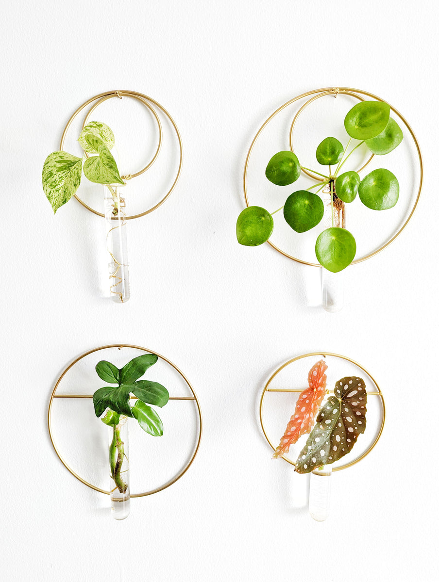 Hanging Vases – Laurel and Twine